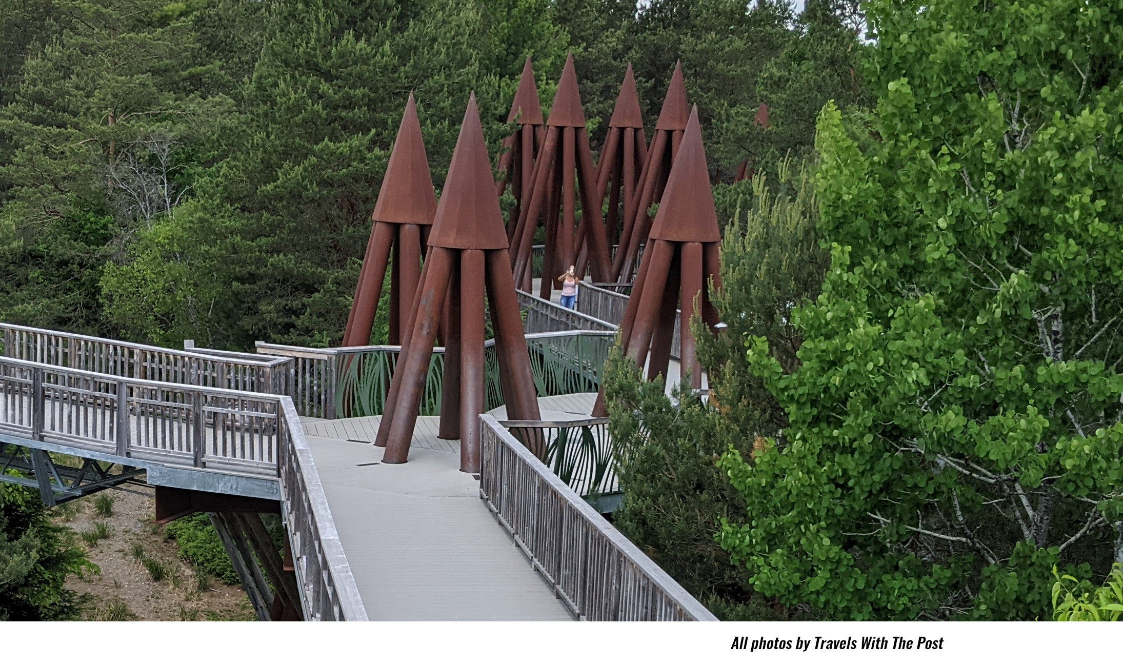 Like Ewoks, Public Explores Life Above Adirondack Trees