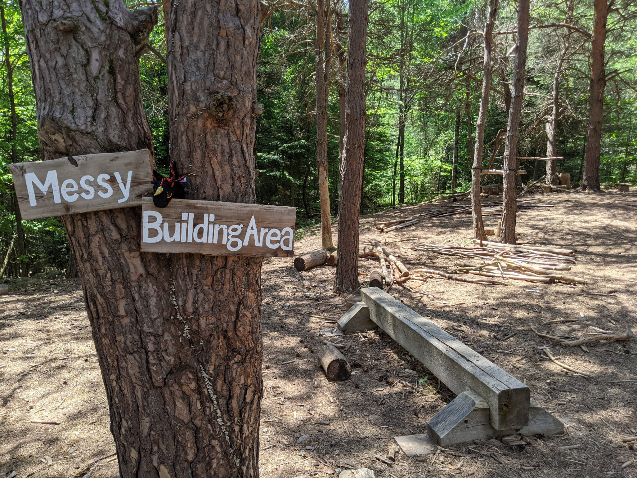 Like Ewoks, Public Explores Life Above Adirondack Trees