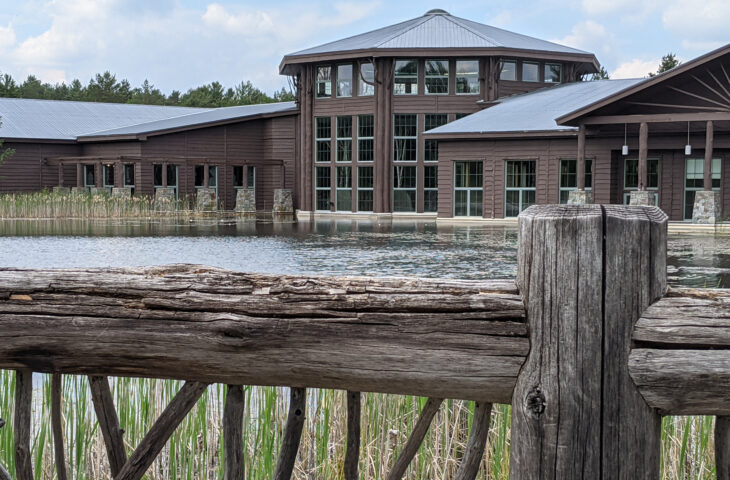 Like Ewoks, Public Explores Life Above Adirondack Trees