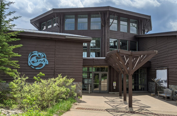 Like Ewoks, Public Explores Life Above Adirondack Trees