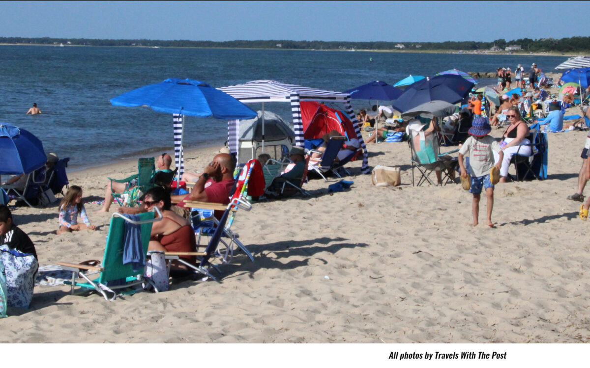 Sharks Bite Into Some Cape Cod Activity, But Not in Brewster