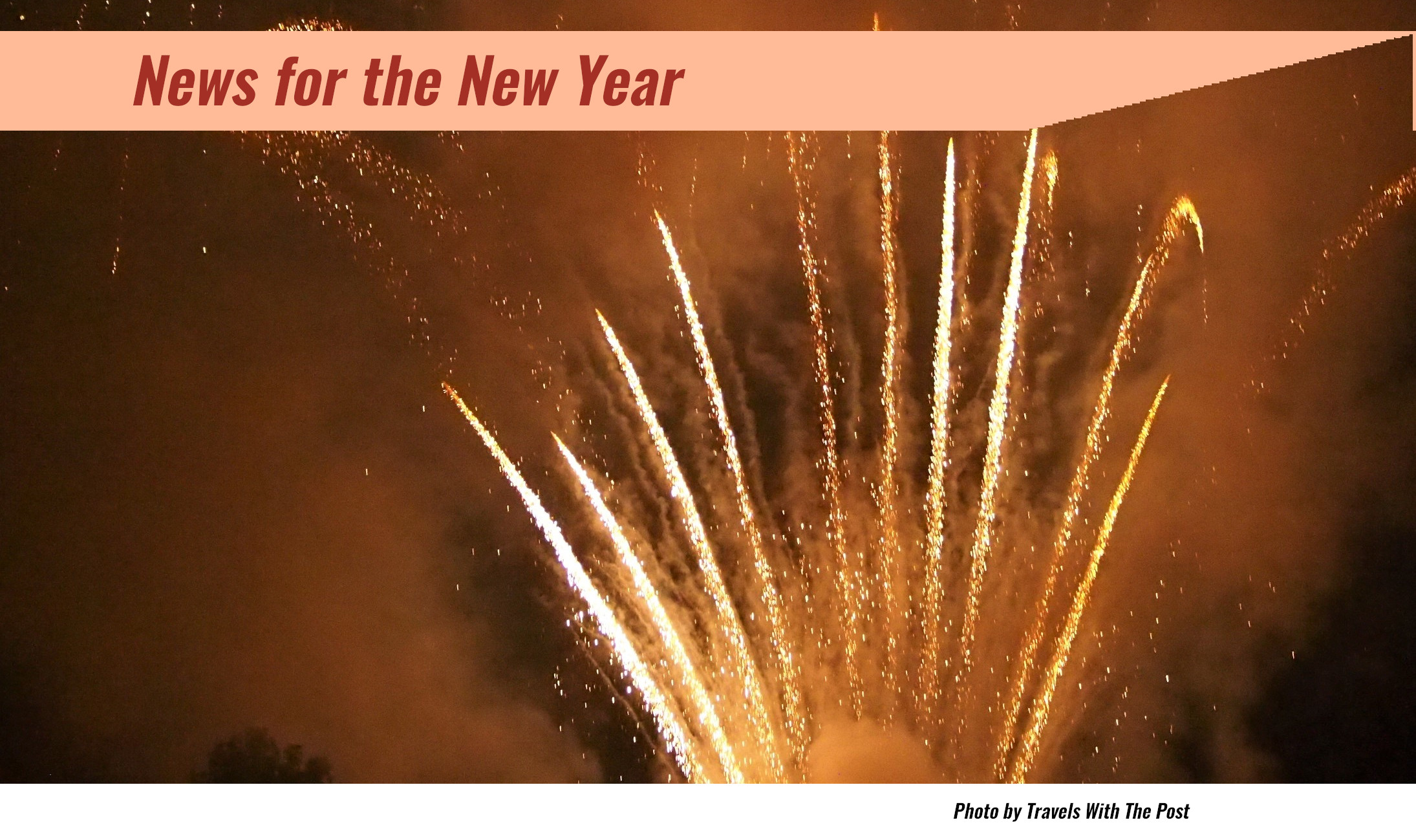Research: Fireworks Create Scary New Year Among Birds