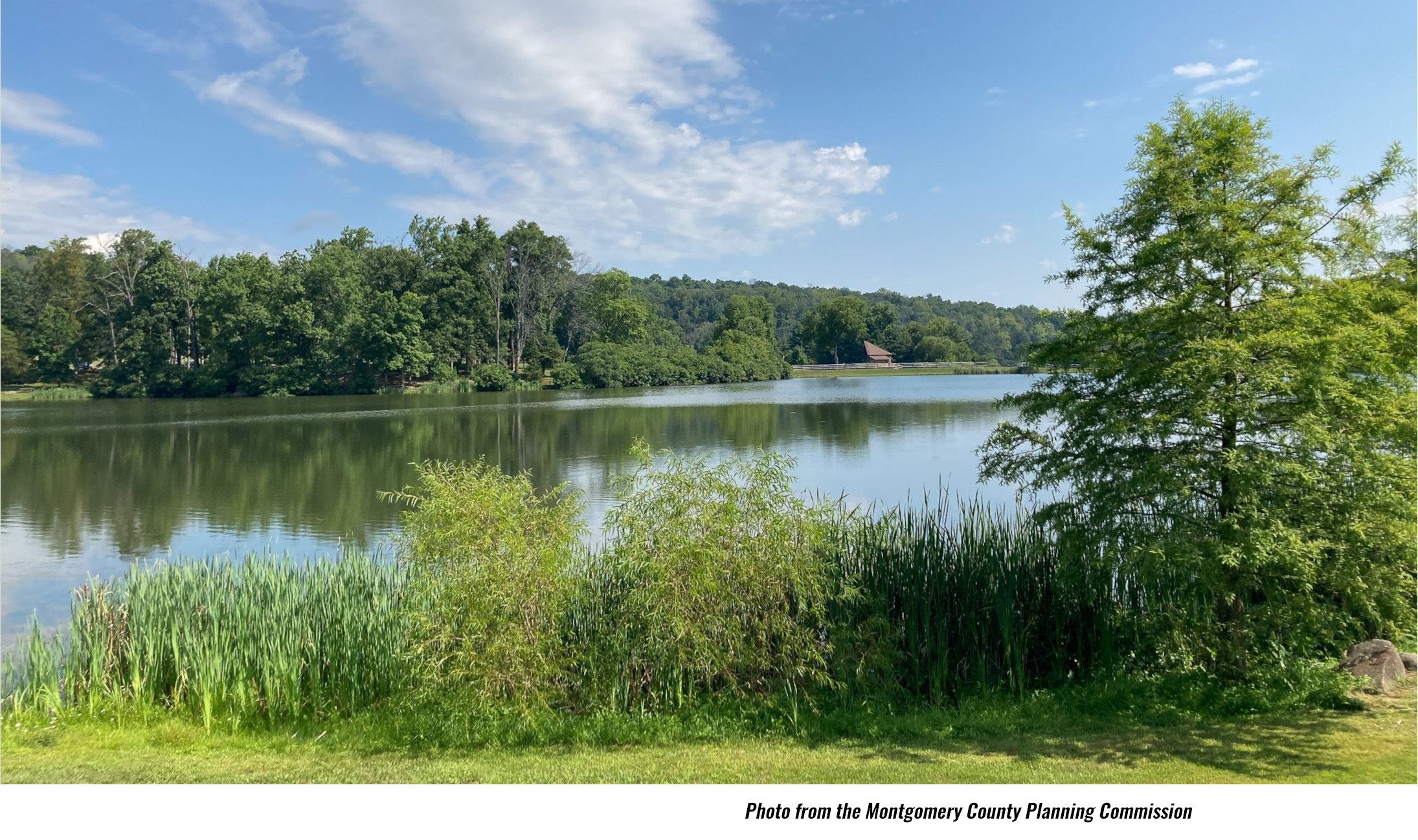 County Gem, Green Lane Park, Set for Final Plan Review